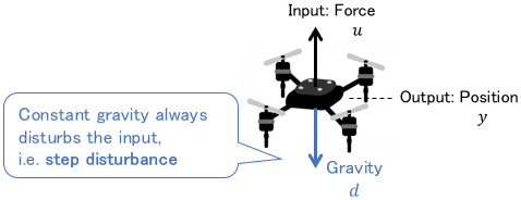 Steady-State Error and Internal Model Principle for Disturbance